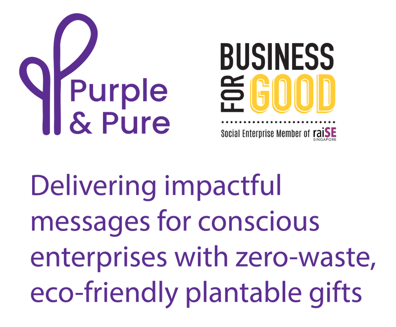 Our Seed Paper Source – Purple & Pure