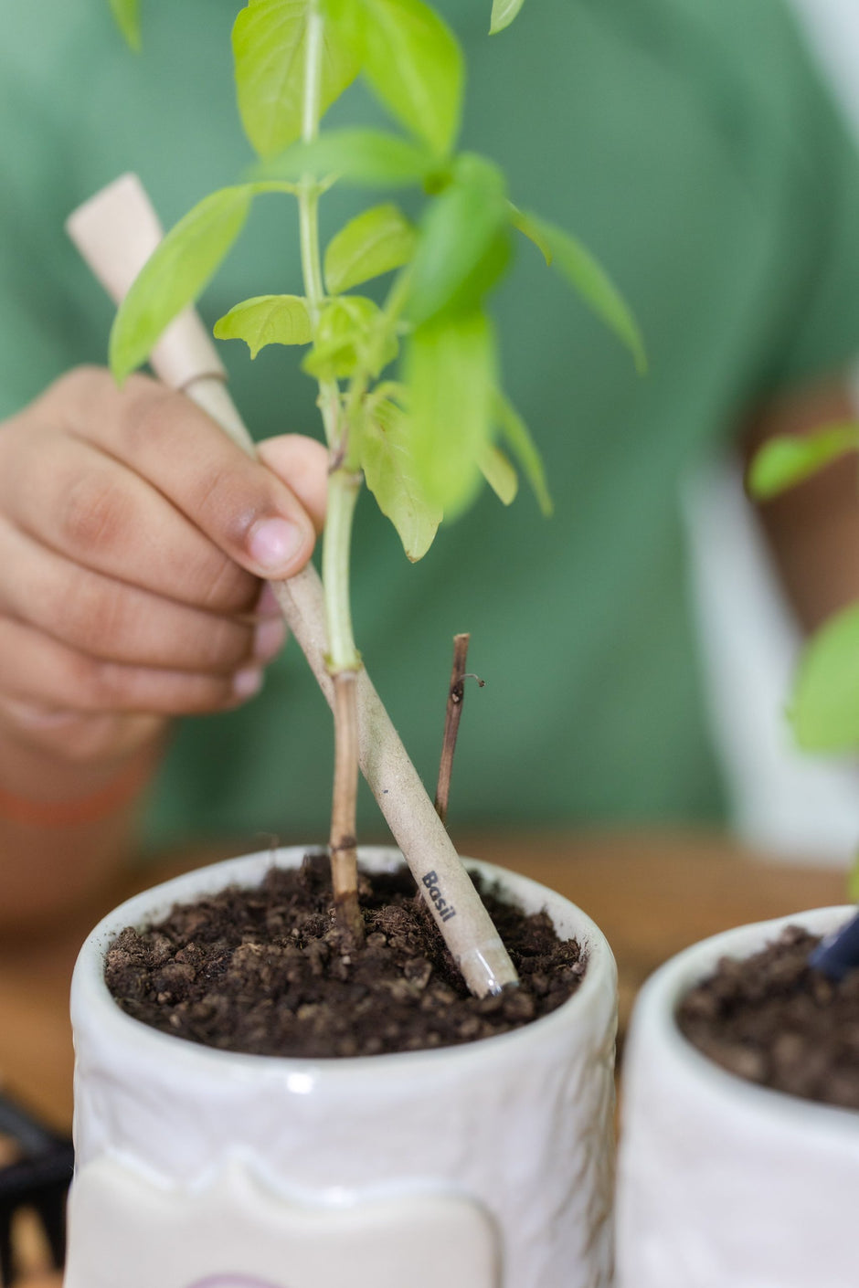 Plantable Eco-friendly Pens – Purple & Pure